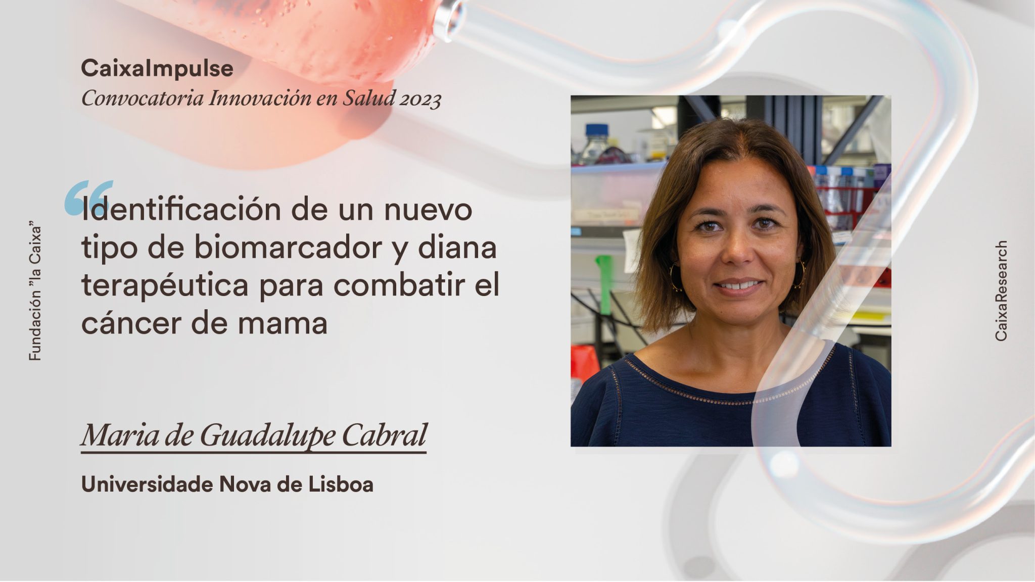 29 proyectos que trasladarán sus investigaciones punteras del ...