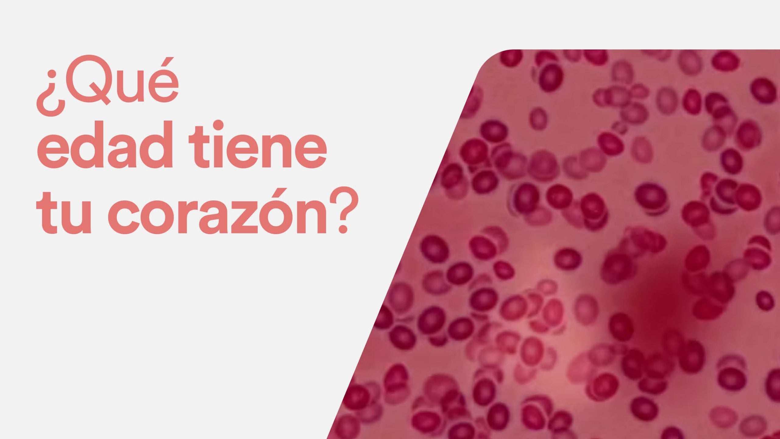 ¿Qué edad tiene tu corazón? - Blog CaixaResearch