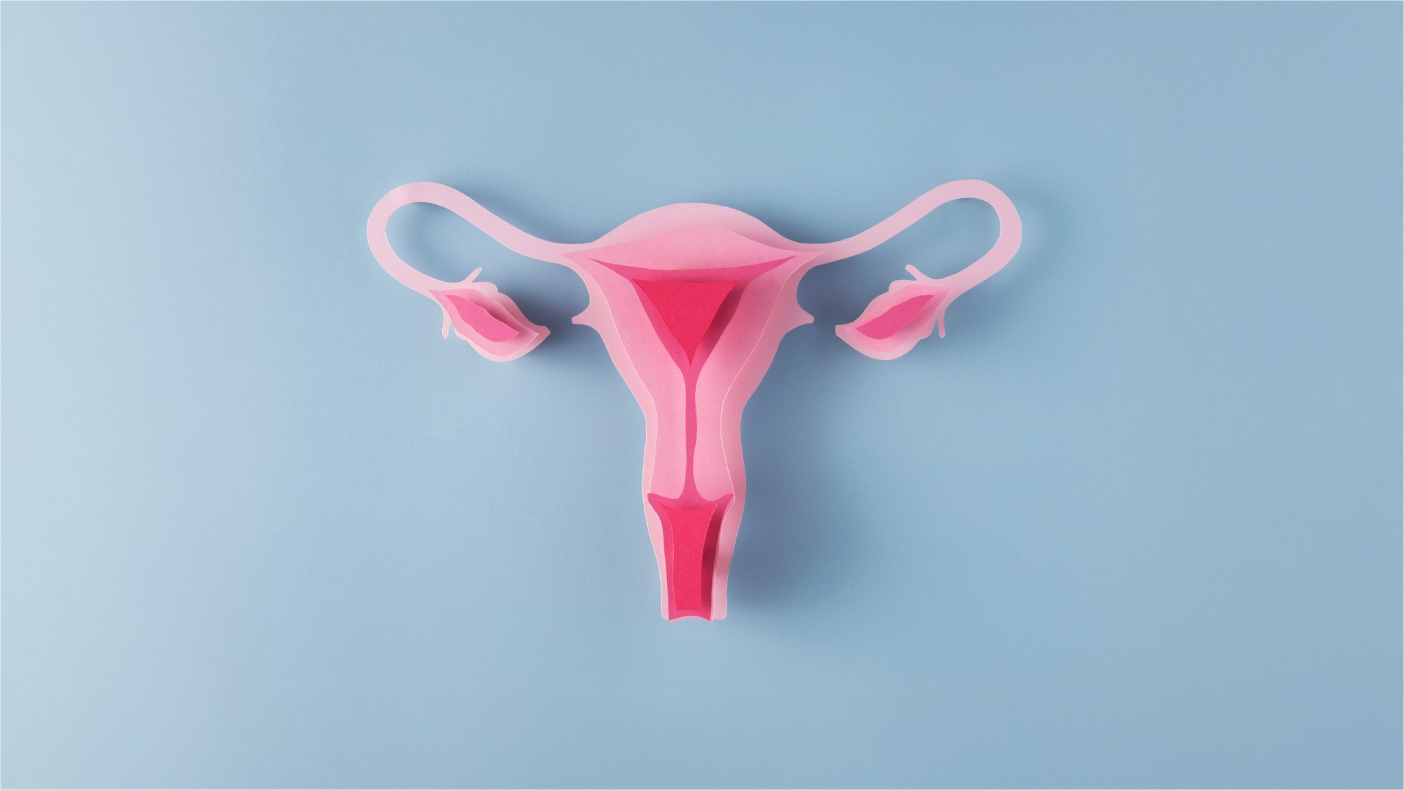 Endometriosis: key facts about a silent disease that affects 1 in 10 ...